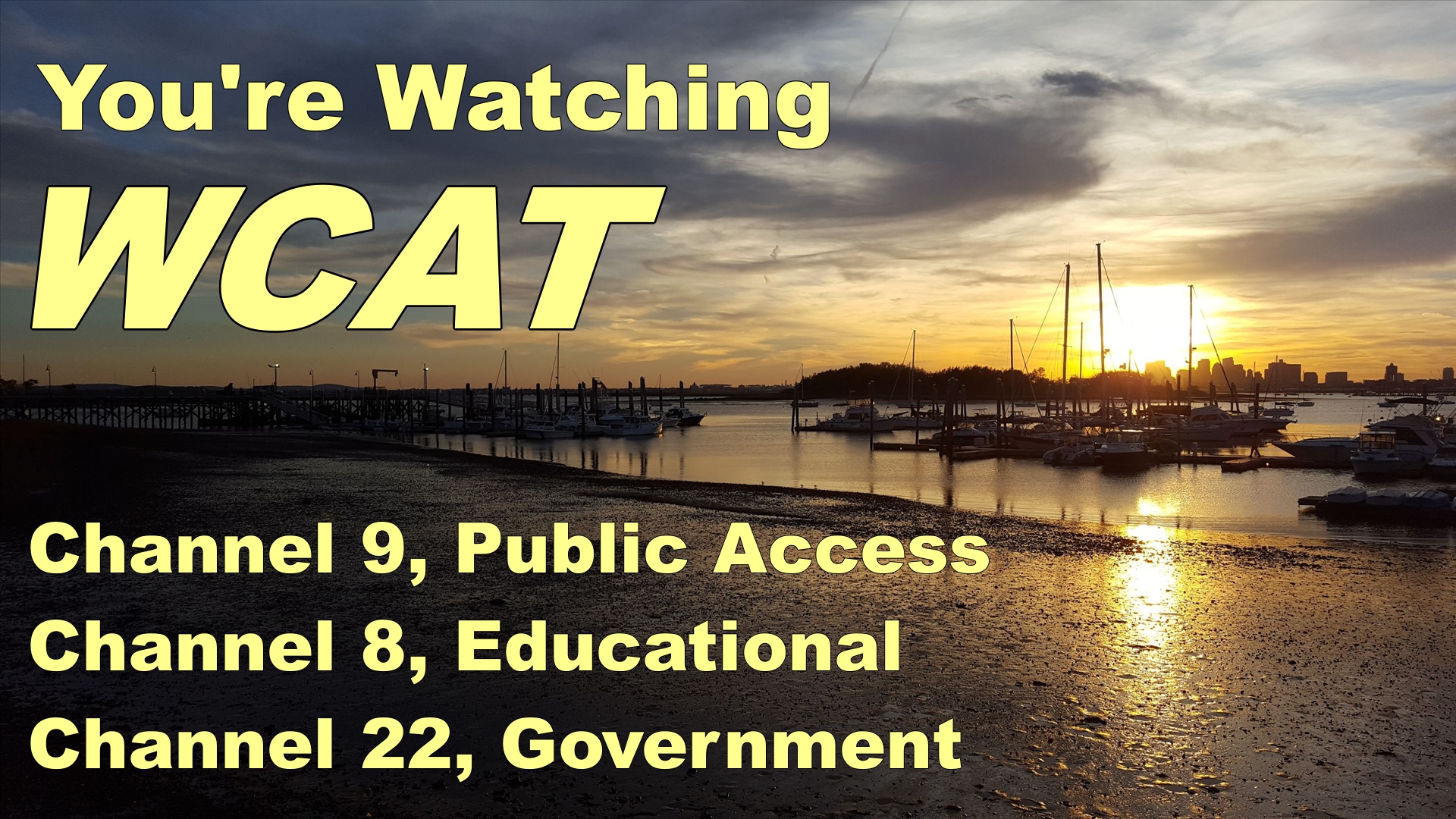 Staff & Board - WCAT